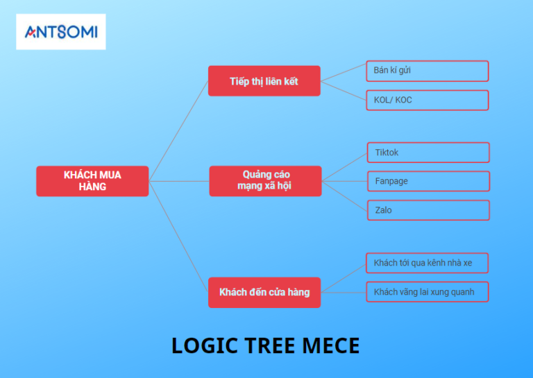 Antsomi Đọc Nhanh Nhớ Lâu: LOGIC TREE MECE LÀ GÌ? ỨNG DỤNG CỦA NÓ TRONG MARKETING DỰA TRÊN DỮ ...