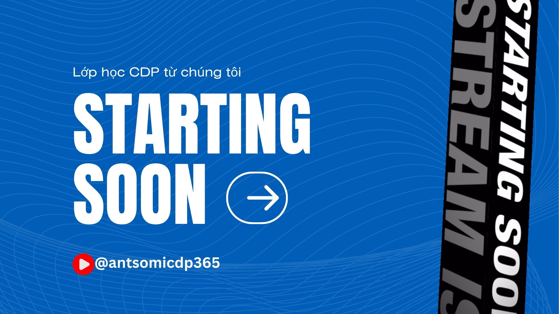 Khóa Học - Antsomi CDP 365